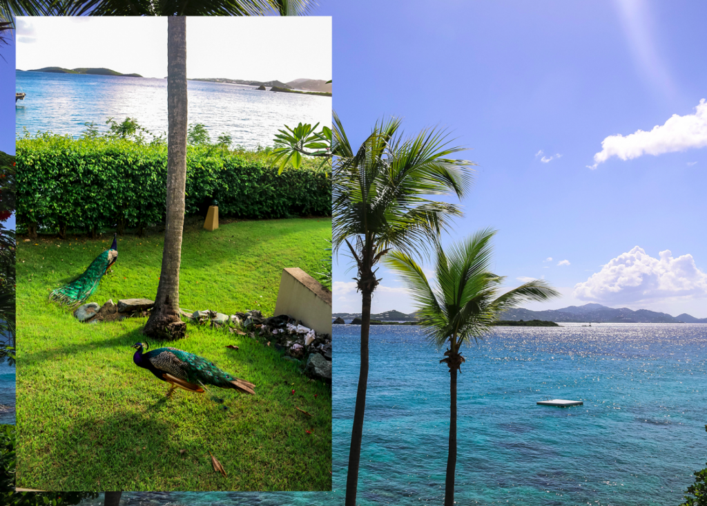 Island Hop The Virgin Islands In 2 Days: The Ultimate Guide – Amy Marietta