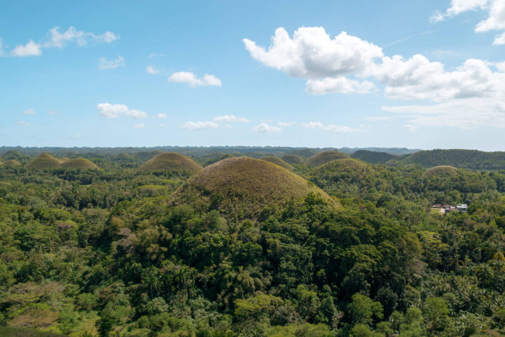 How To See The Best Of Bohol Philippines In One Day Bohol Travel Guide